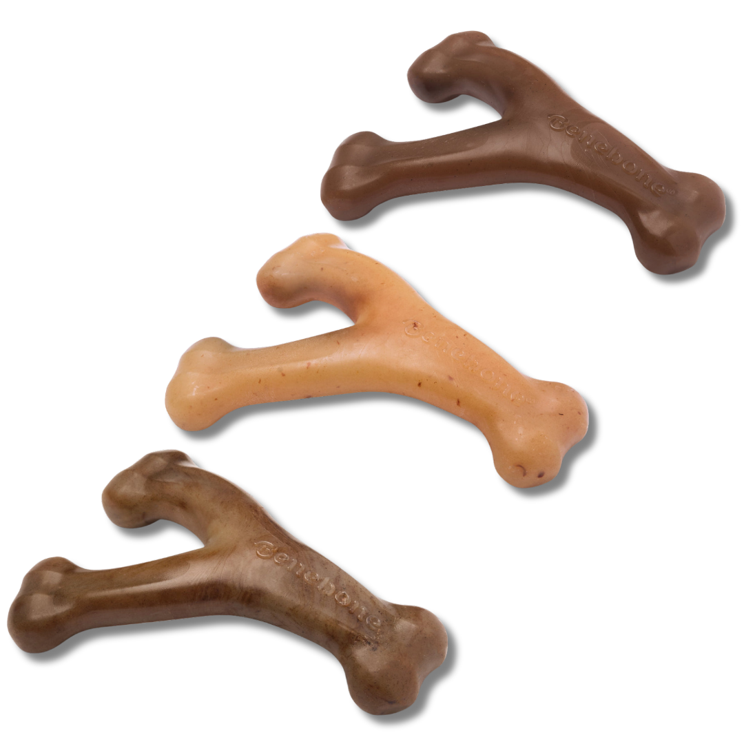 Benebone Wishbone Nylon Chew For Dogs, Large – White Dog Bone