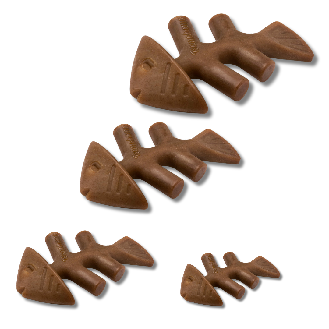 Benebone Fishbone Salmon Flavored Nylon Chew For Dogs – White Dog Bone