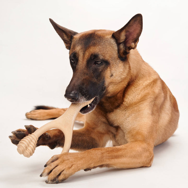 White Dog Bone Company