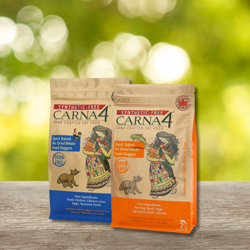 Carna4 Chicken Cat Food | Fast & Free Shipping at White Dog Bone