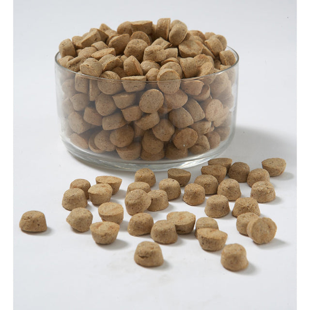 Carna4 Easy Chew Fish Dog Food—Fast & Free Shipping at White Dog Bone